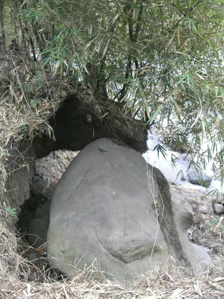 Konstruksi Bangunan Bambu Tangguh Bencana
