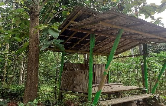 Konstruksi Bangunan Bambu Tangguh Bencana